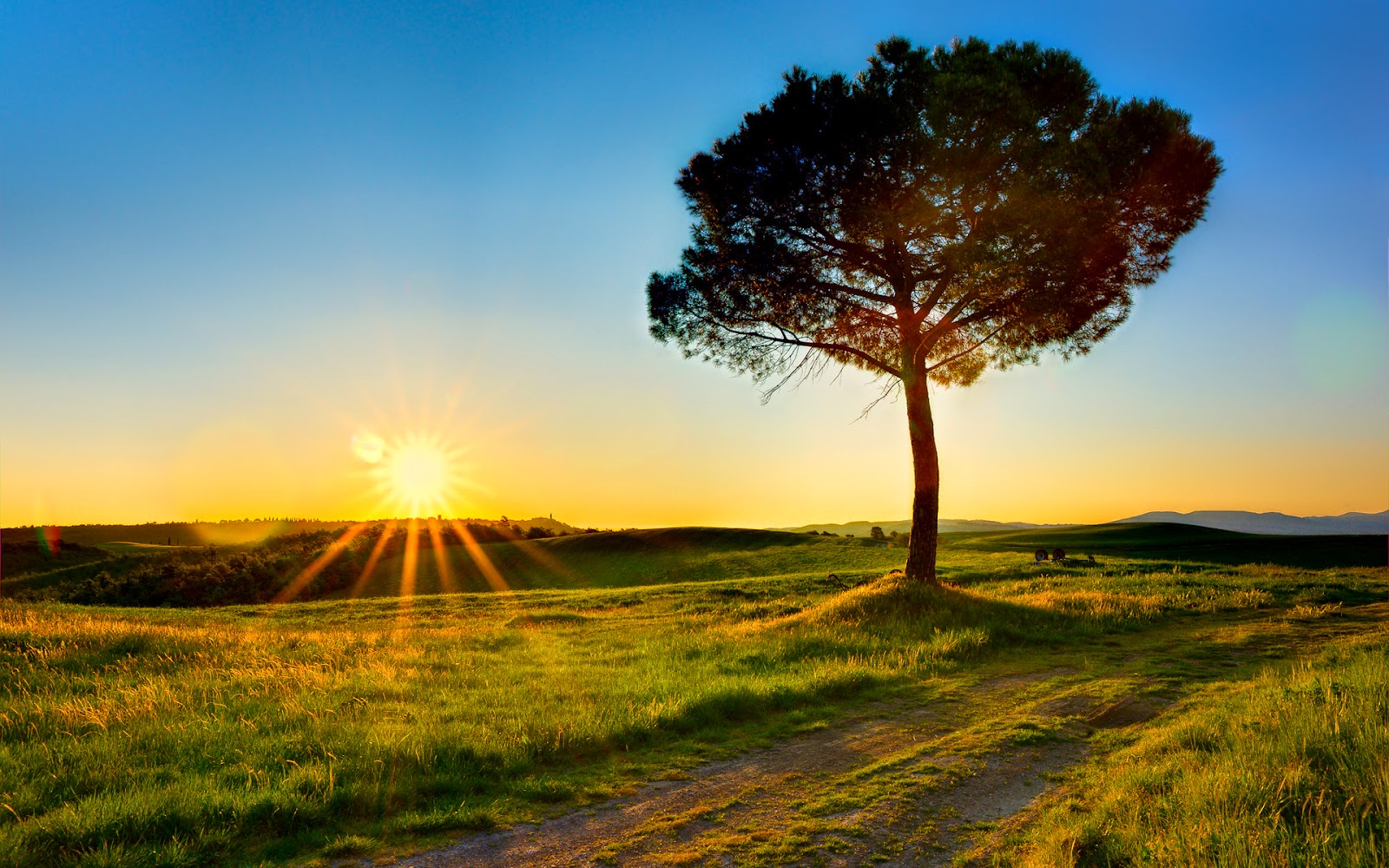 30 Galeri Gambar Pemandangan Yang Menenangkan Jiwa Pemandanganbaruu - Riset