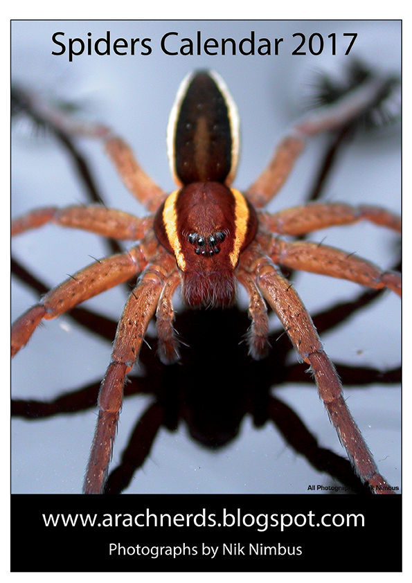 Arachnerds: Spiders Calendar 2017