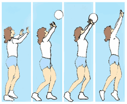 suidome: Técnicas de voleibol