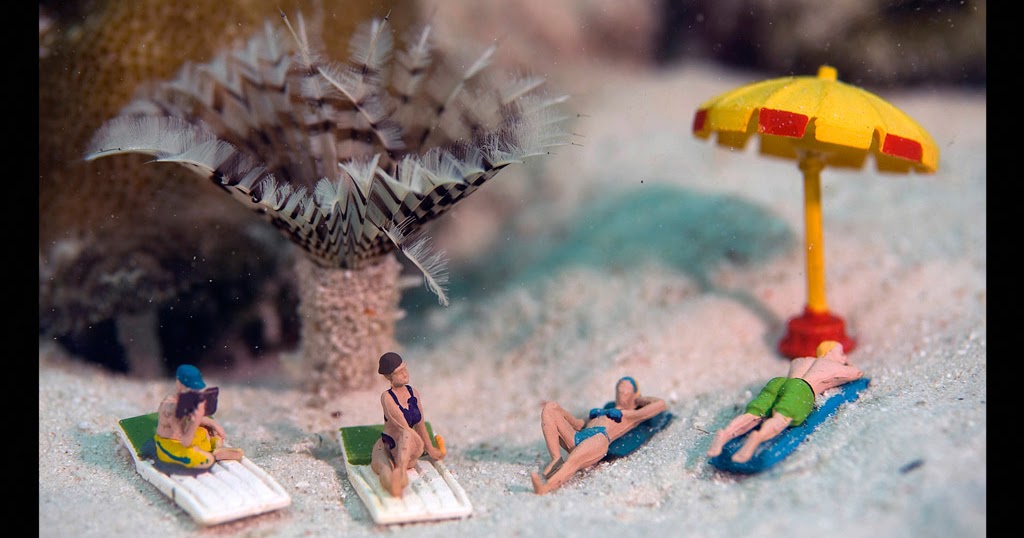 Ξωτικό: Υποβρύχιες φωτογραφίες με μινιατούρες από τον Jason Isley