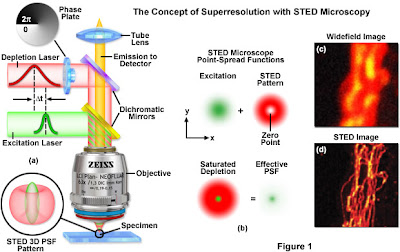 Wise Silence: Stimulated Emission Depletion (STED) Microscopy