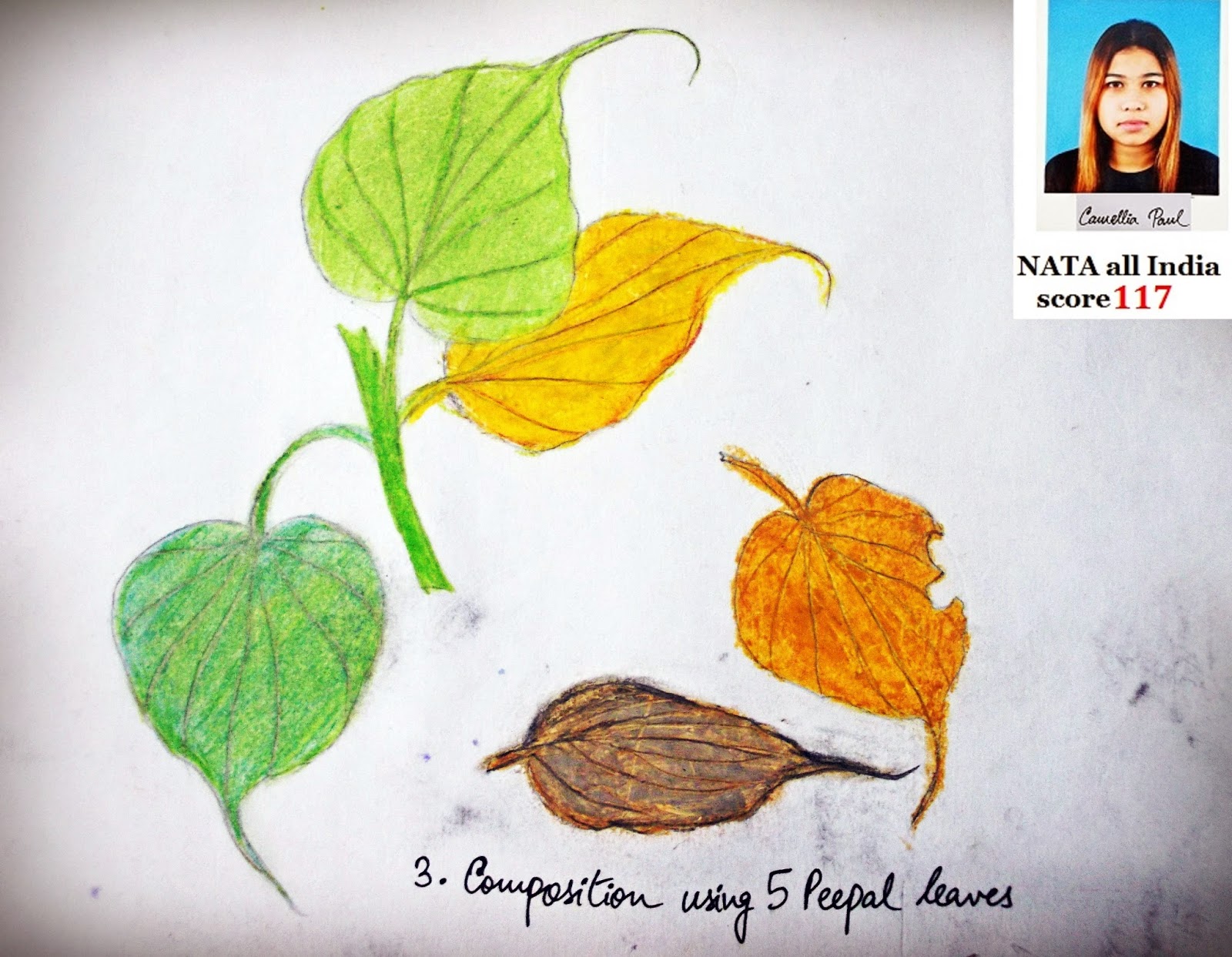 Camellia Paul: ODE TO NATA ASPIRANTS