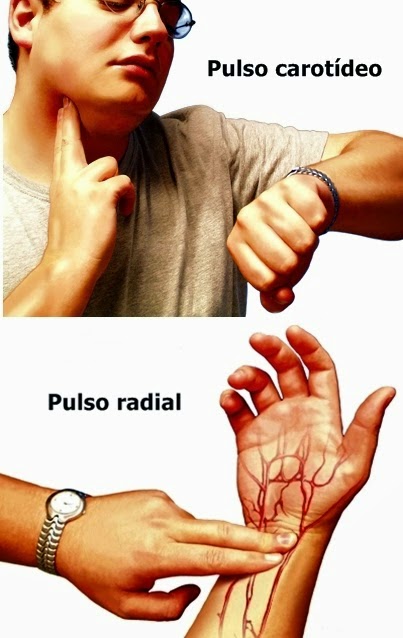 dso Ayudar: Aprende a tomarte el pulso.