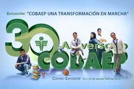 COBAEP PLANTEL 30: ¿QUE ES EL COBAEP?