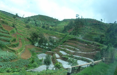 About winoise 8 | Winoise 8