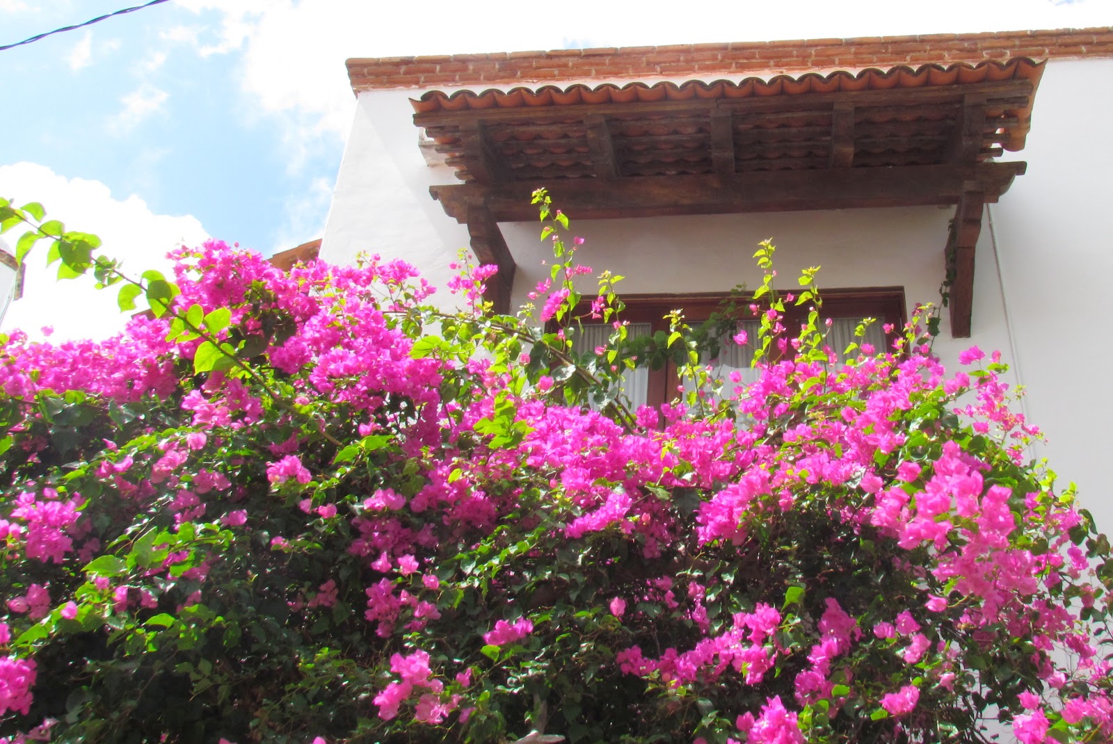 Escribiendo en la Cocina: Bugambilia