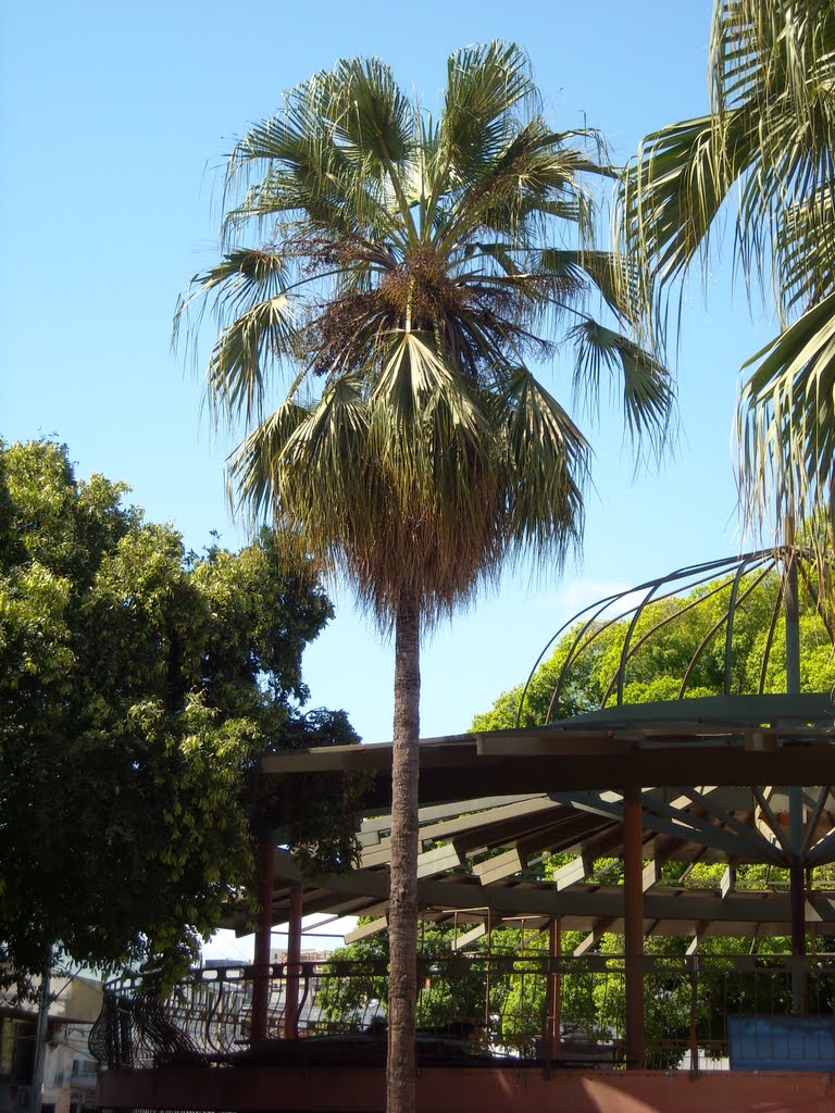 TURISTANDO PELO MUNDO: Muriaé, Minas Gerais - No Parque Estadual do ...