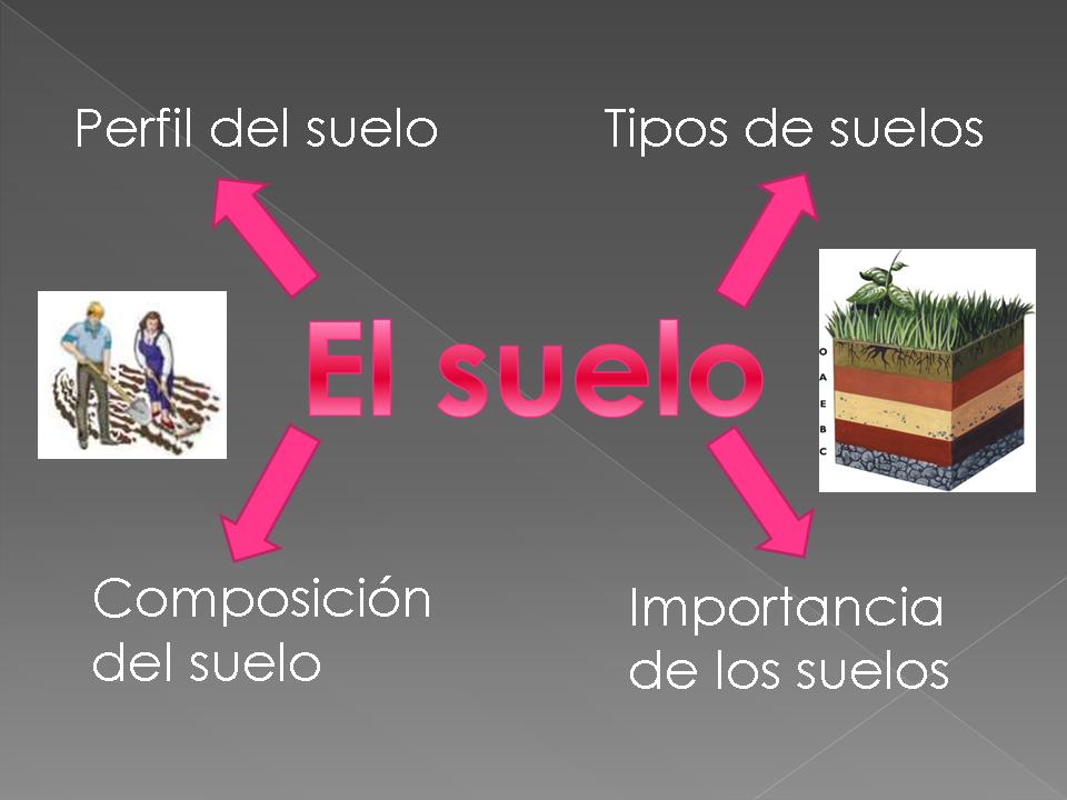 El suelo y sus tipos..