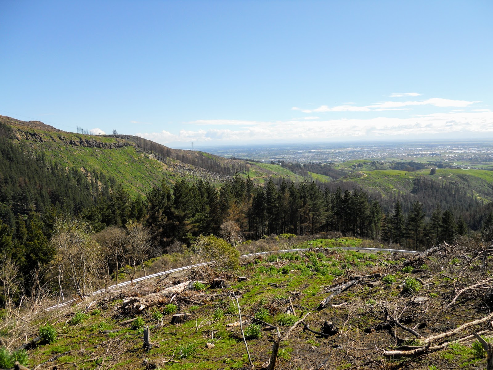 Tramping in the New Zealand backcountry: NZ Bush Adventures: Fitness ...