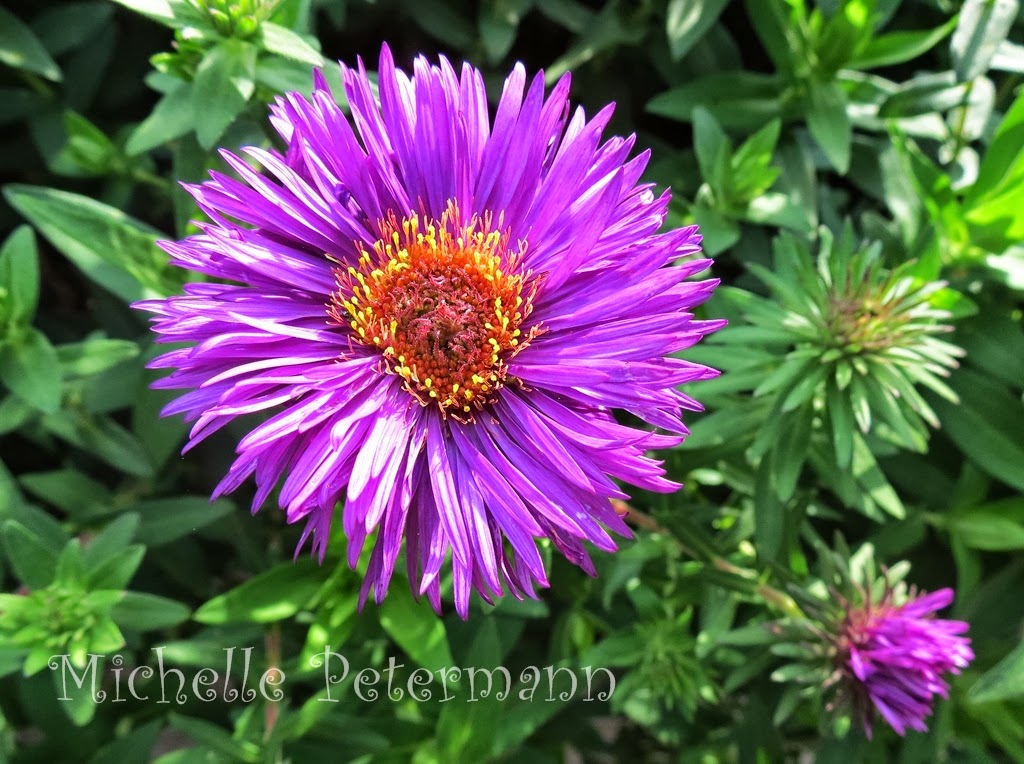 Mom's Time: Friday Five