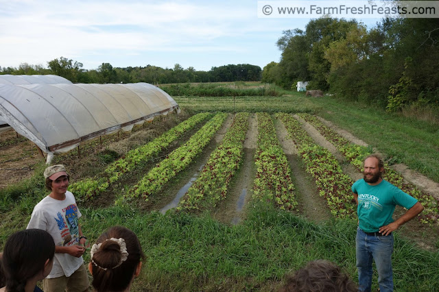 Farm Fresh Feasts: How to Choose a CSA Farm Share