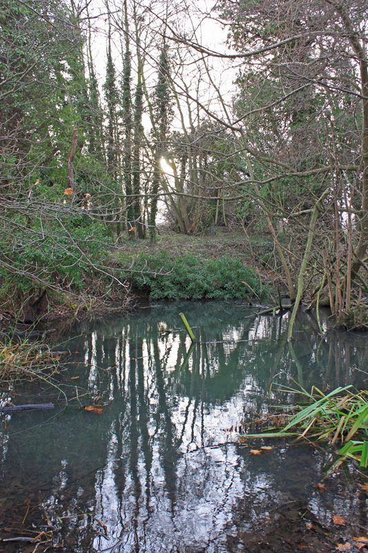 Captain Ahab's Watery Tales: Shrewsbury Canal, Trench Arm Pt 2 ...