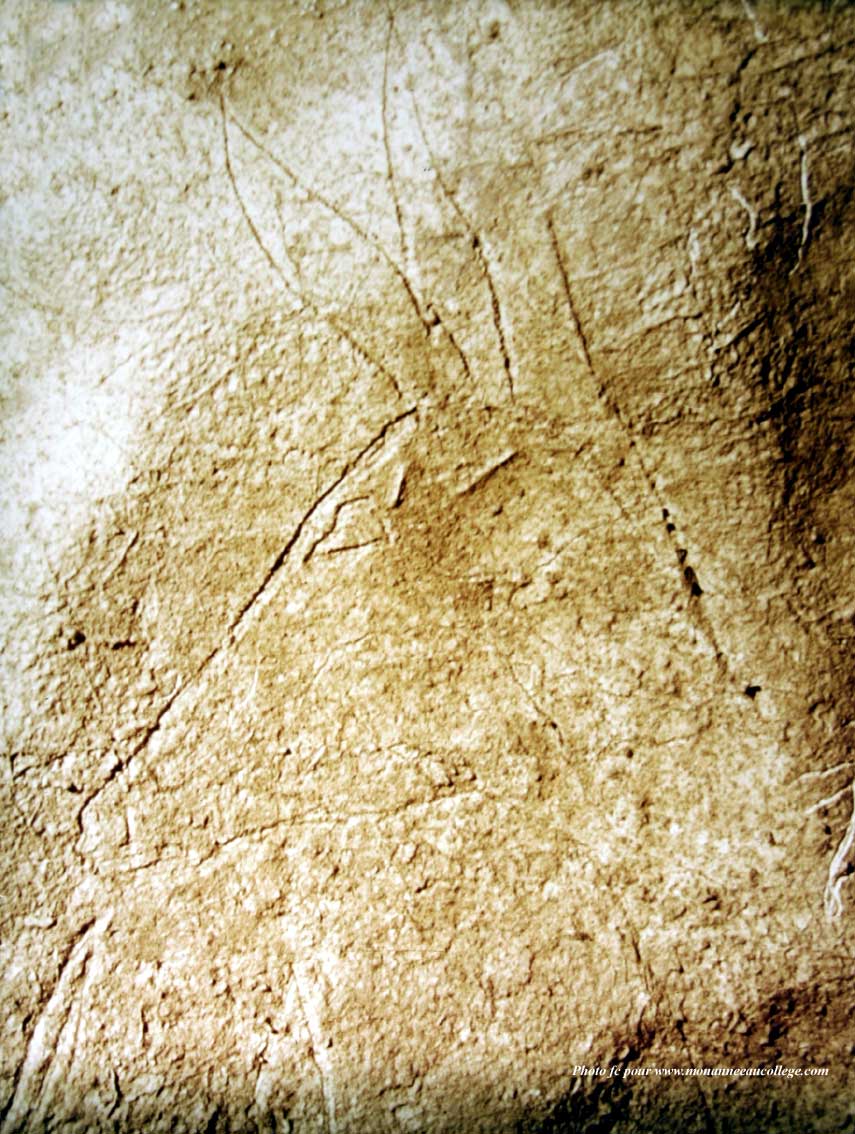 Interesting & Funny: Pech Merle - Prehistoric Art