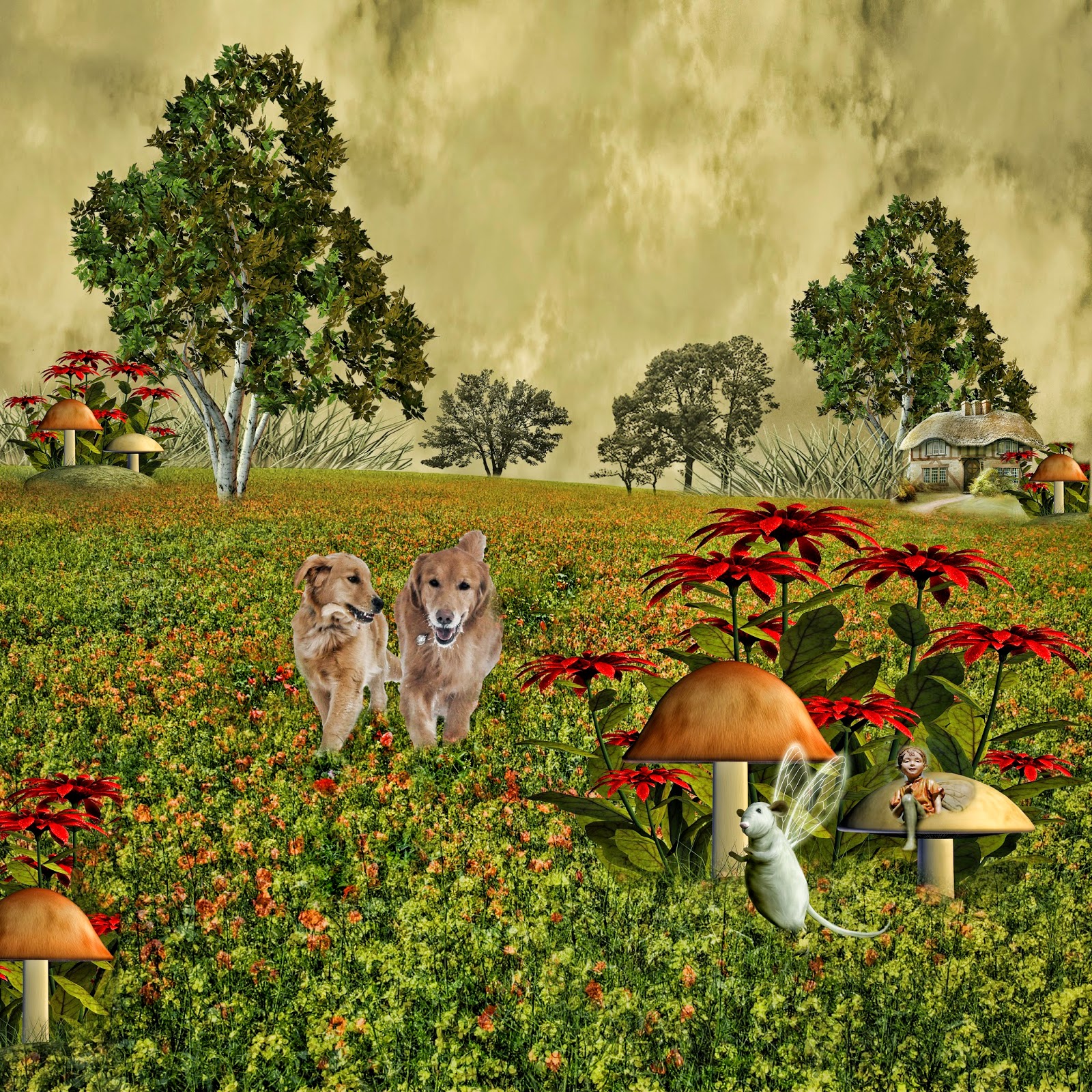 Adventures of Gracie Rose and Magee: The Adventures of Grace and Magee ...