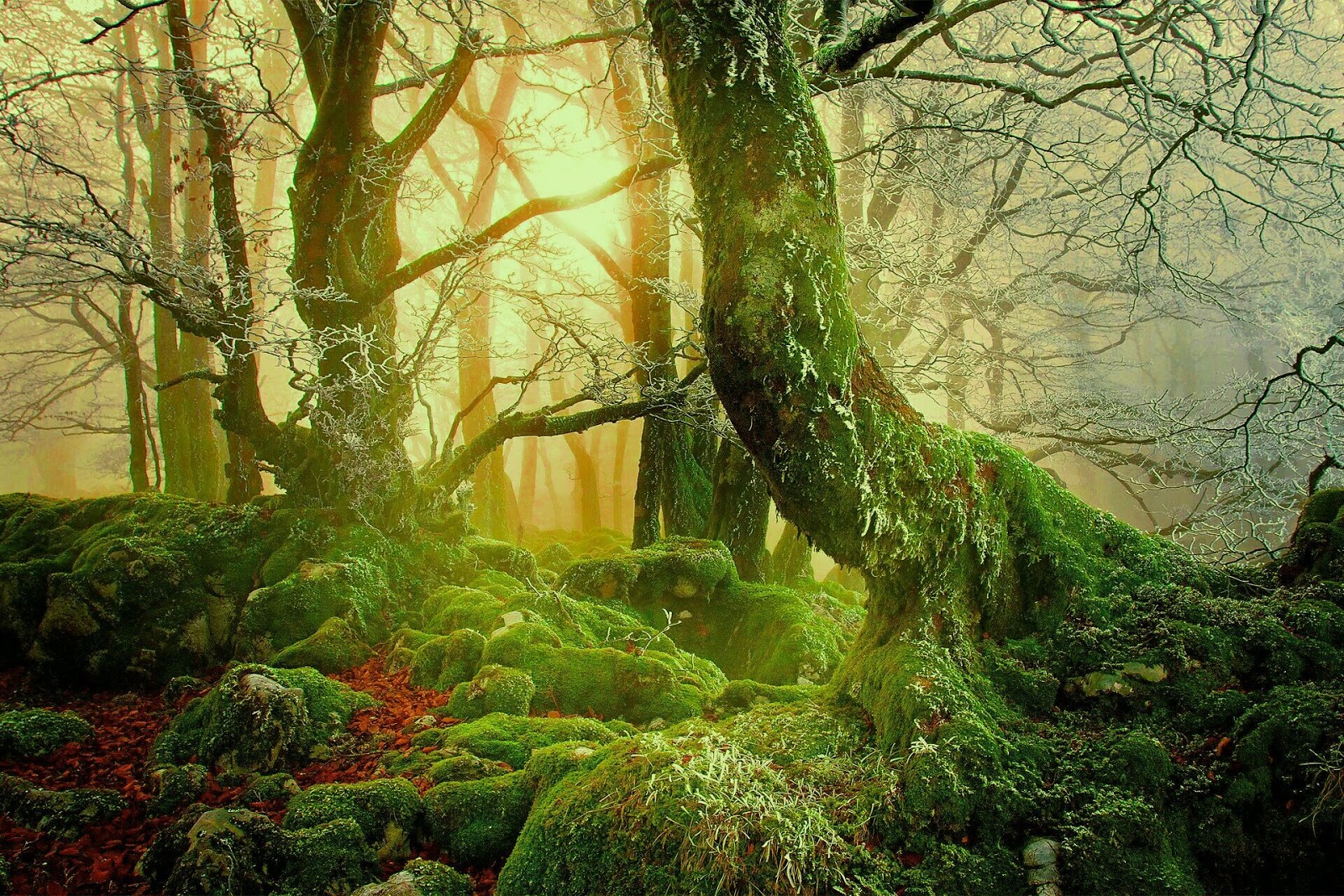 12 paisajes naturales para meditar - Amazing natural landscapes ...