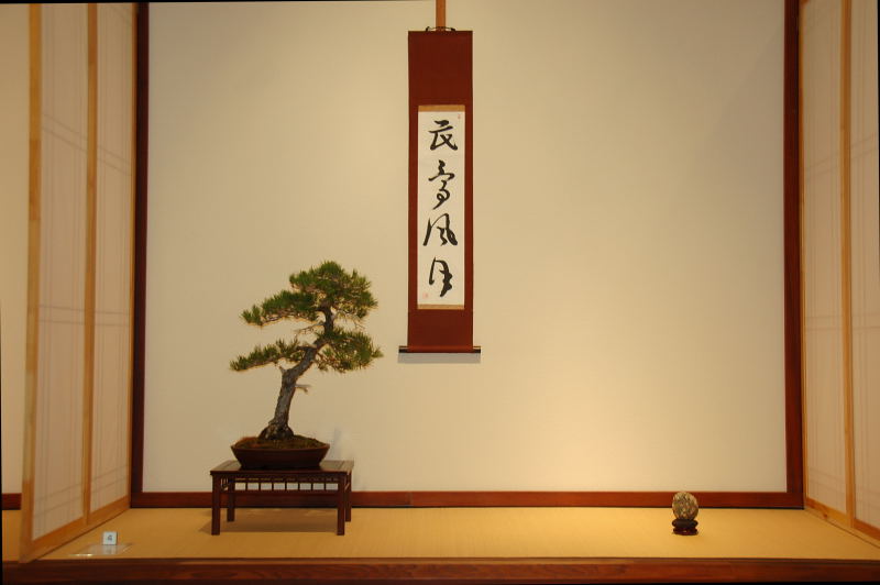 Wall Scroll or Kakejiku: Bonsai Toko no Ma Display