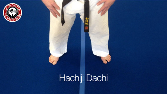 KARATÊ-DO: SHIZENTAI (posição natural)