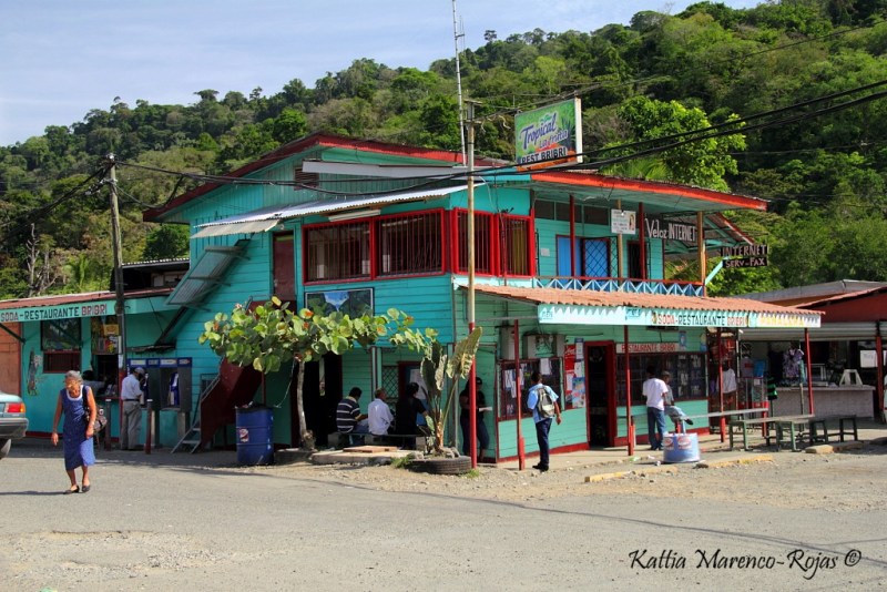 Shiroles de Talamanca | Explore Costa Rica