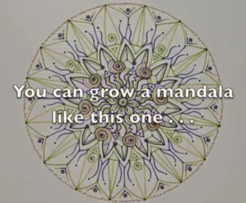 ARTS AND CRAFTS (Seccions Europees): DRAW/GROW YOUR OWN MANDALA!