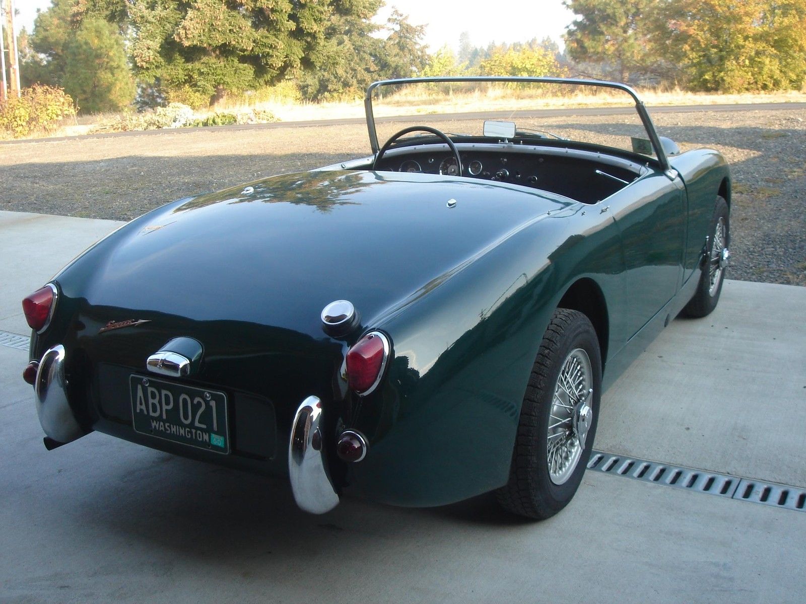 Bug or Frog? 1960 Austin Healey Sprite Mk I - DailyTurismo