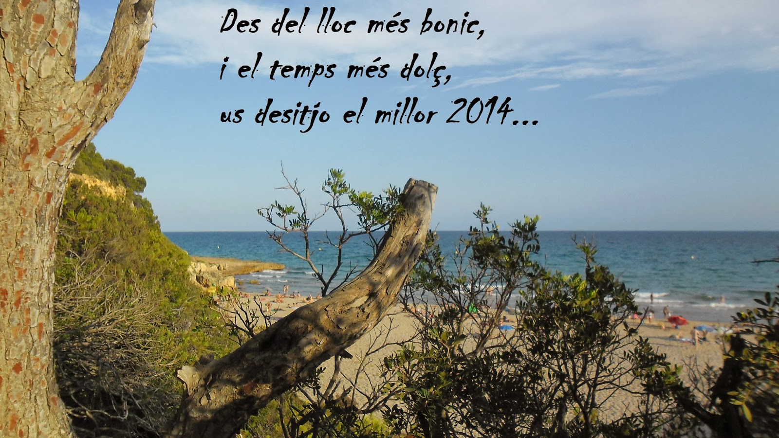 NUESA LITERÀRIA: El millor 2014...