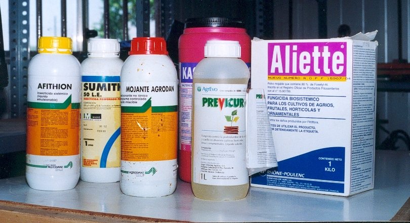 AGRICULTURA ECOLÓGICA EN AREQUIPA: TIPOS DE PESTICIDAS: INSECTICIDAS