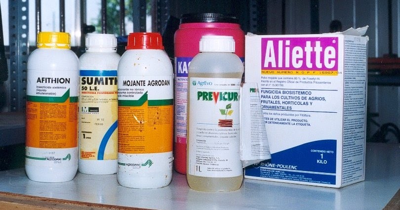 AGRICULTURA ECOLÓGICA EN AREQUIPA: TIPOS DE PESTICIDAS: INSECTICIDAS