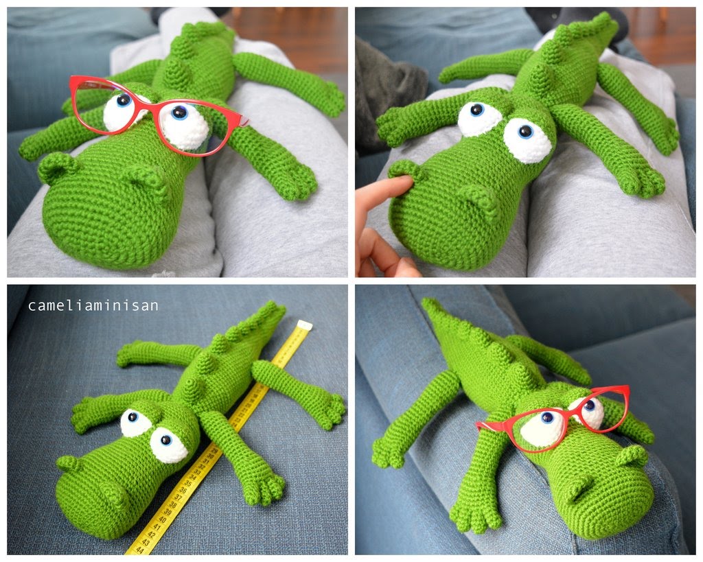 Camelia Minişan: Crocodil crosetat