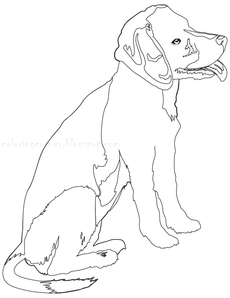 Beagles Coloring Pages