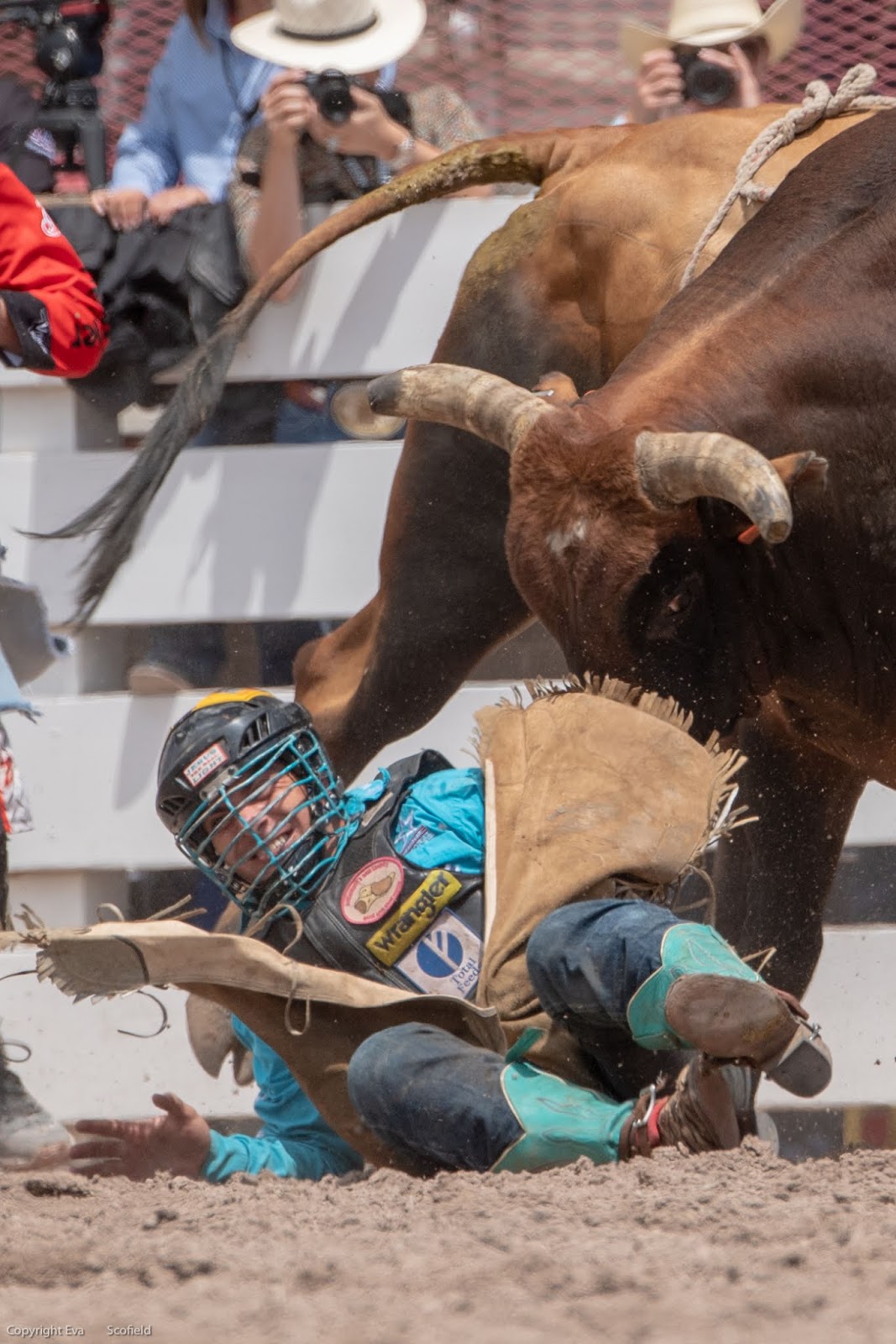 MIKE LEE World Champion PBR Bull Rider