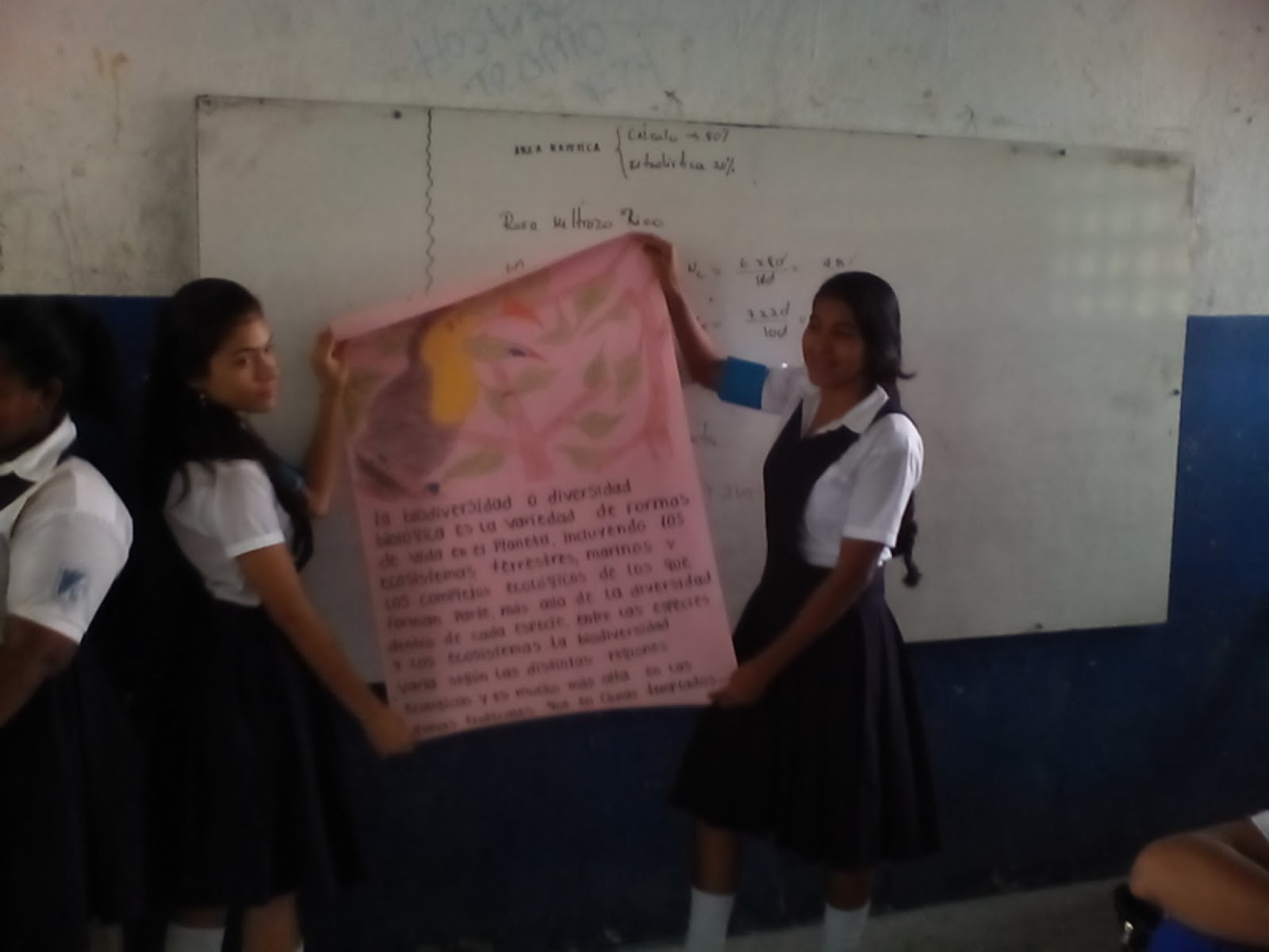 Club Defensor del Agua Agua Viva - Institución Educativa Villa Corelca