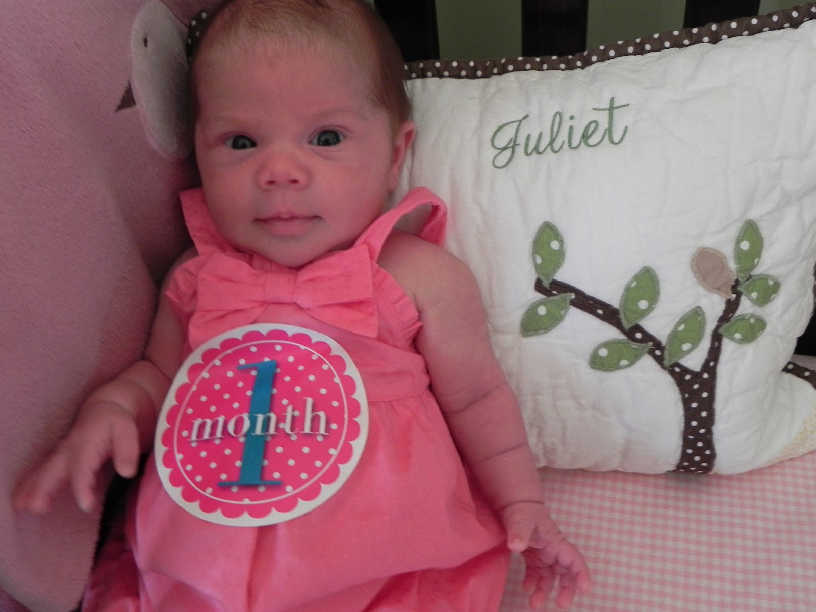 Leah Loo, Jelly Boo, and Teddy Too: Jelly Belly Boo Boo