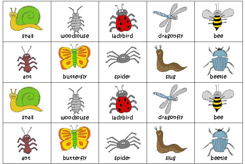 Blog de Inglés: MINIBEASTS unit 6 - 4º