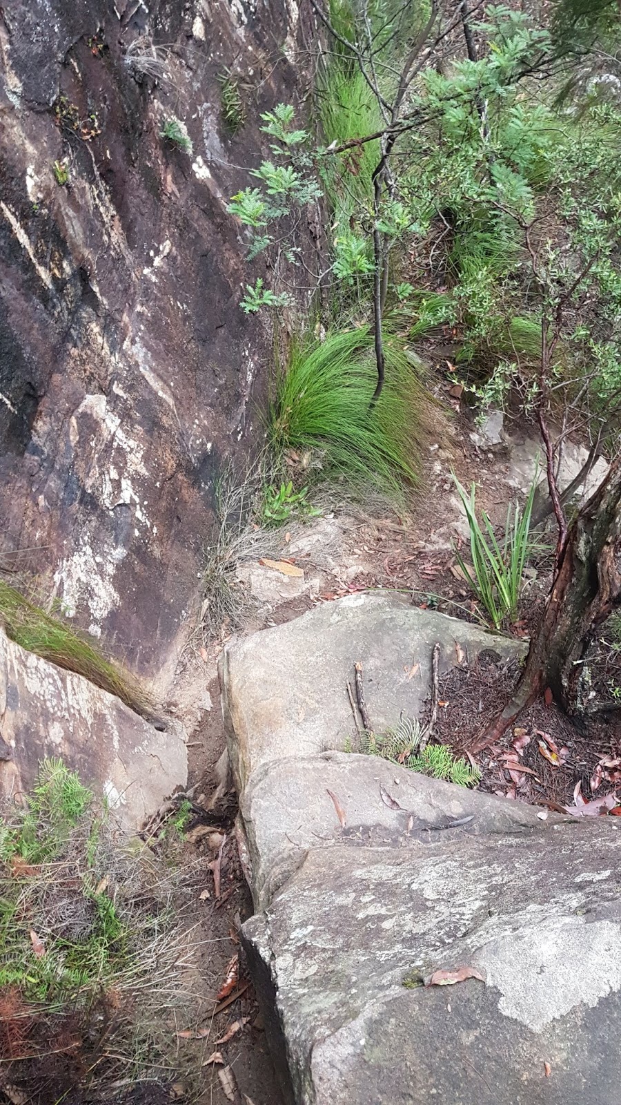 Steventure: Gerringong Falls - Reaching the Bottom