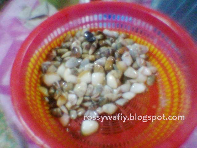 MASAM MANIS BLOG SAYA: Remis Goreng