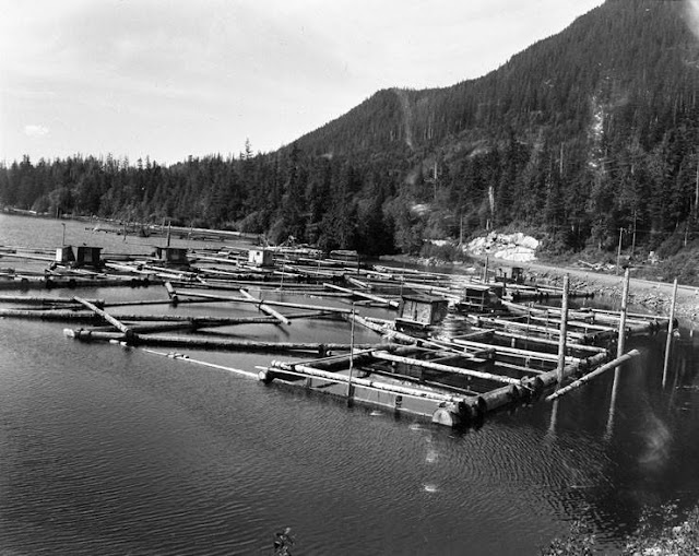 The Alaska Native Studies Blog: "The Fish Belong to Everybody:" The ...