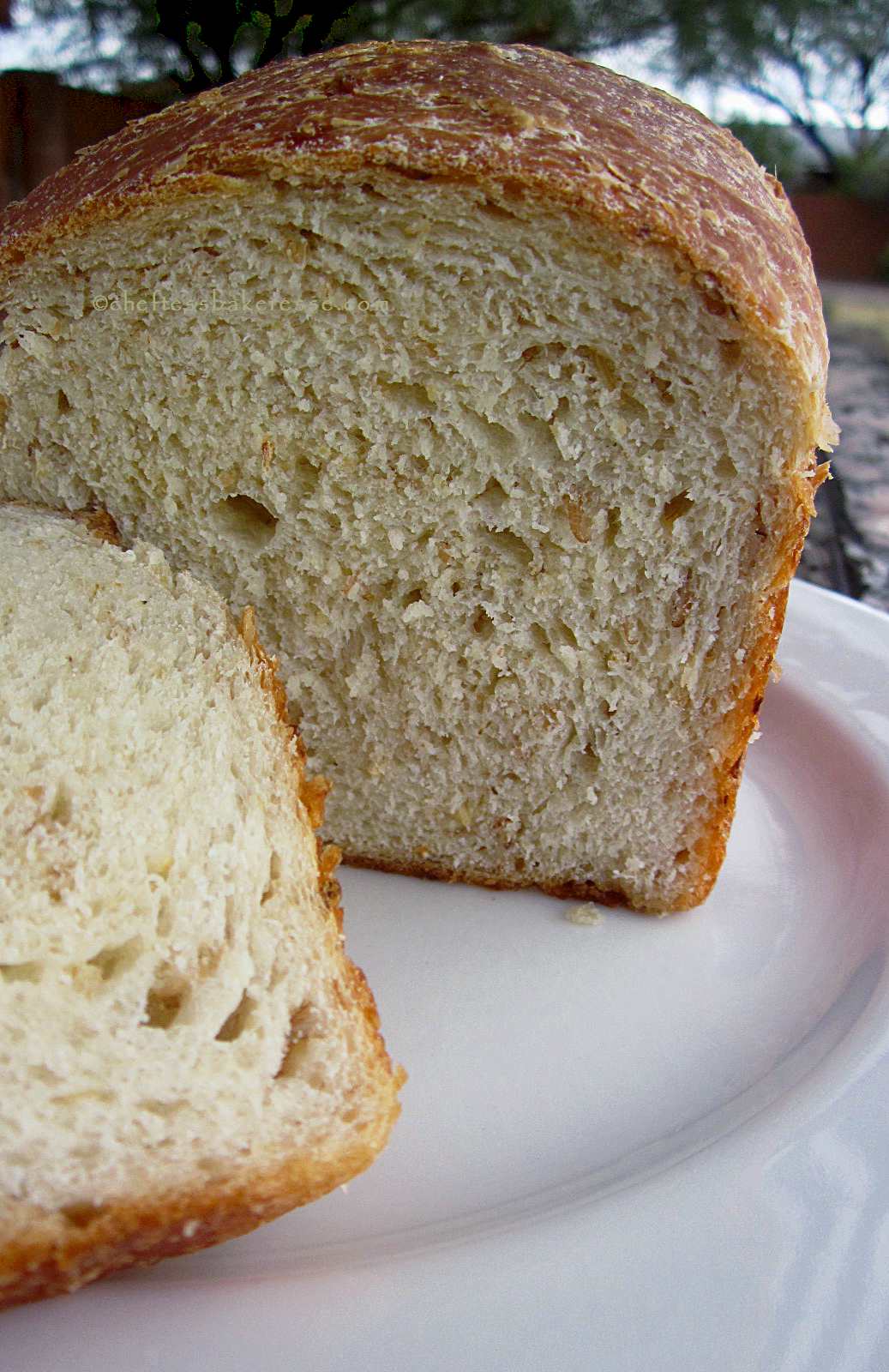 Chef Tess Bakeresse: 5 ingredient No-Knead 6-Grain Bread Anyone Can Make