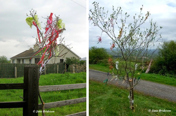 The Ever-Living Ones: The May bush ribbons dance as the Fairy Host pass by.