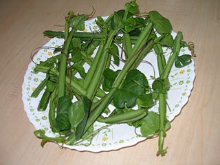 Knowledge is Power: Pirandai