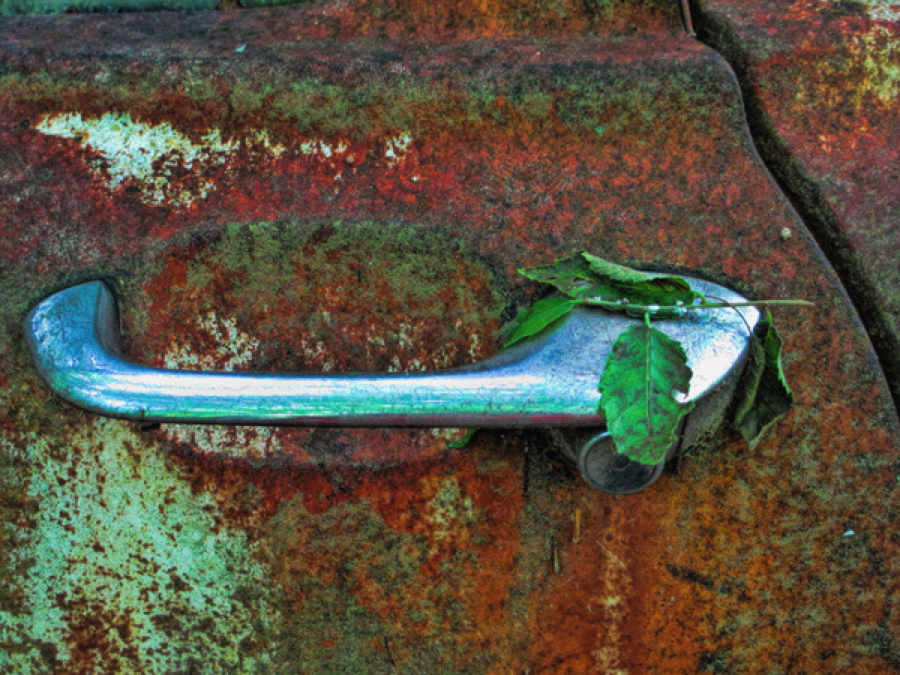 Myra Boyle Photography: Research