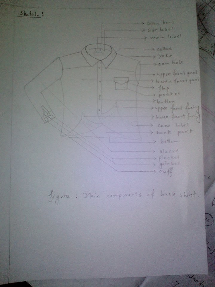 Study on a basic shirt.