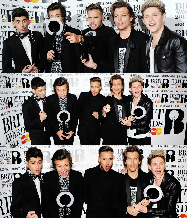 Forever One Direction Facts