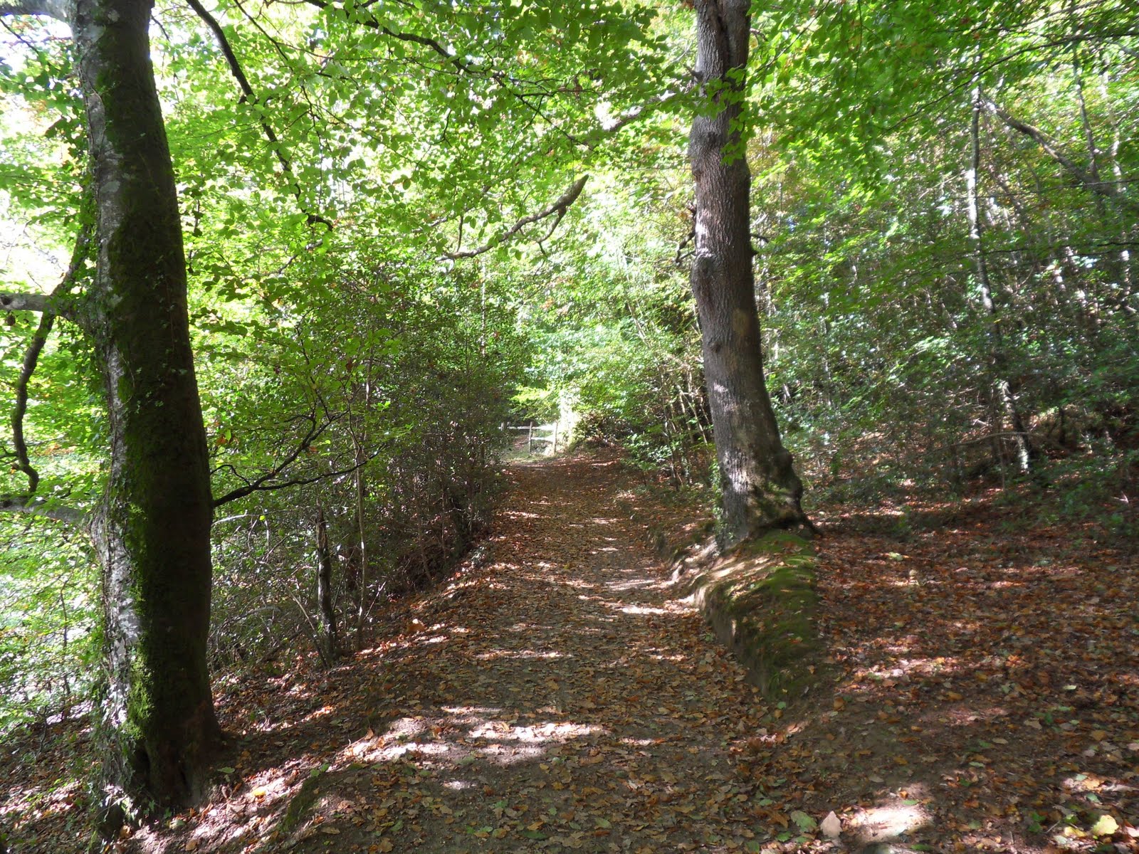 67 Not Out: In Search Of Celtic Crosses At St.Winnow In Cornwall