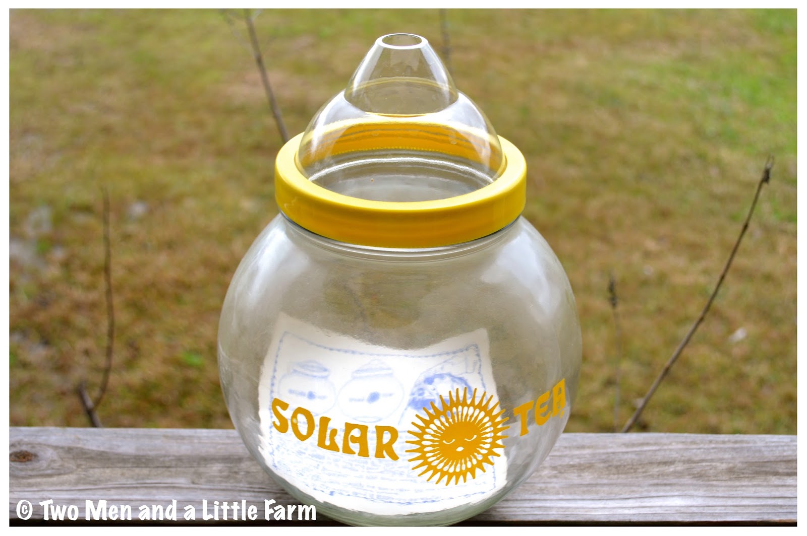 Two Men and a Little Farm: SUN TEA JAR THRIFT STORE FIND