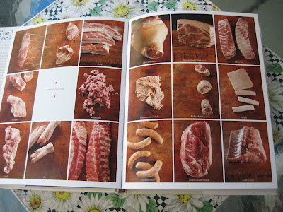 Barbecue Master: The Whole Hog Cookbook by Libbie Summers - All You ...