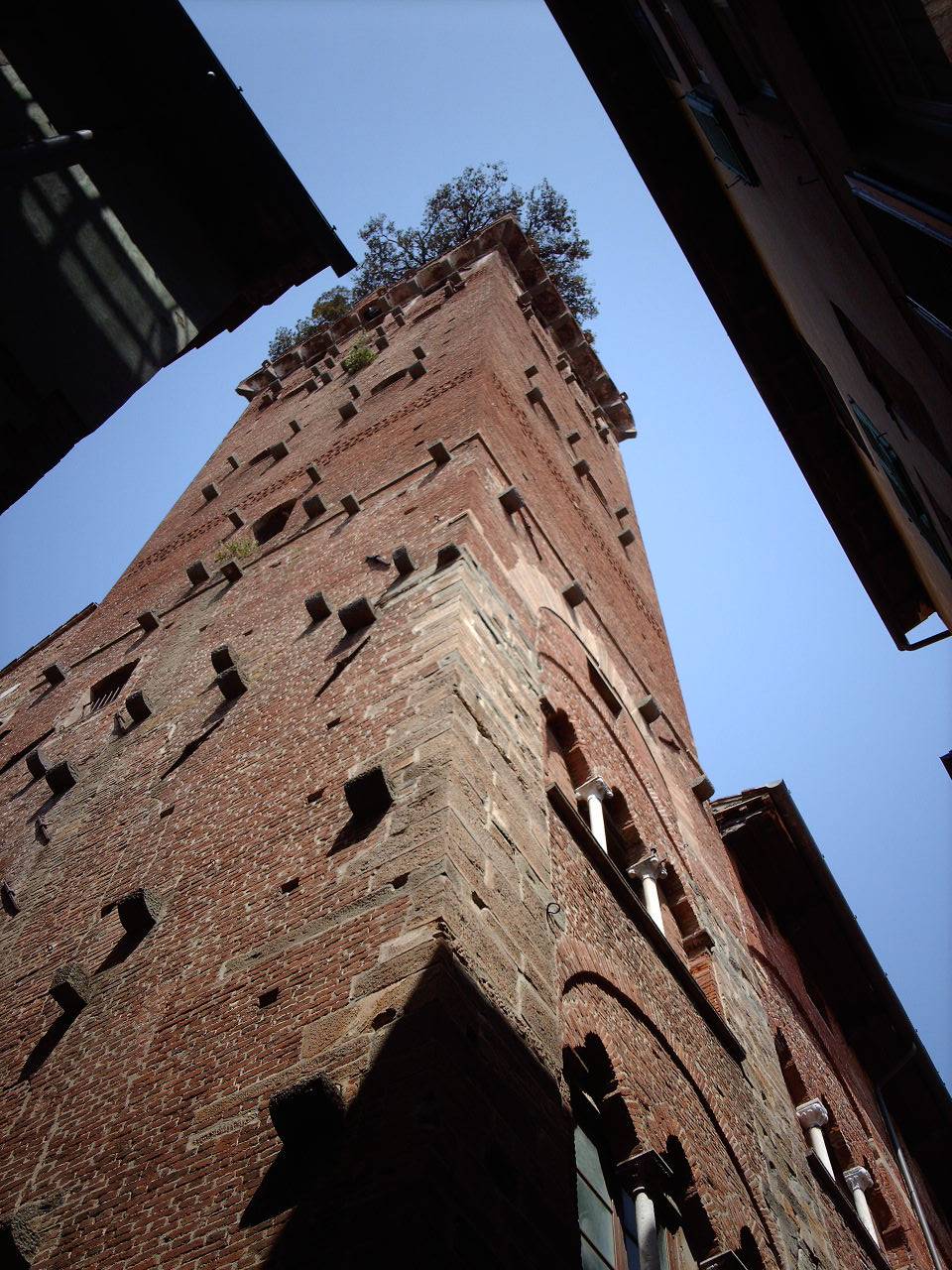 Torre Guinigi: The Tower with Oak Trees on the Top ~ Kuriositas