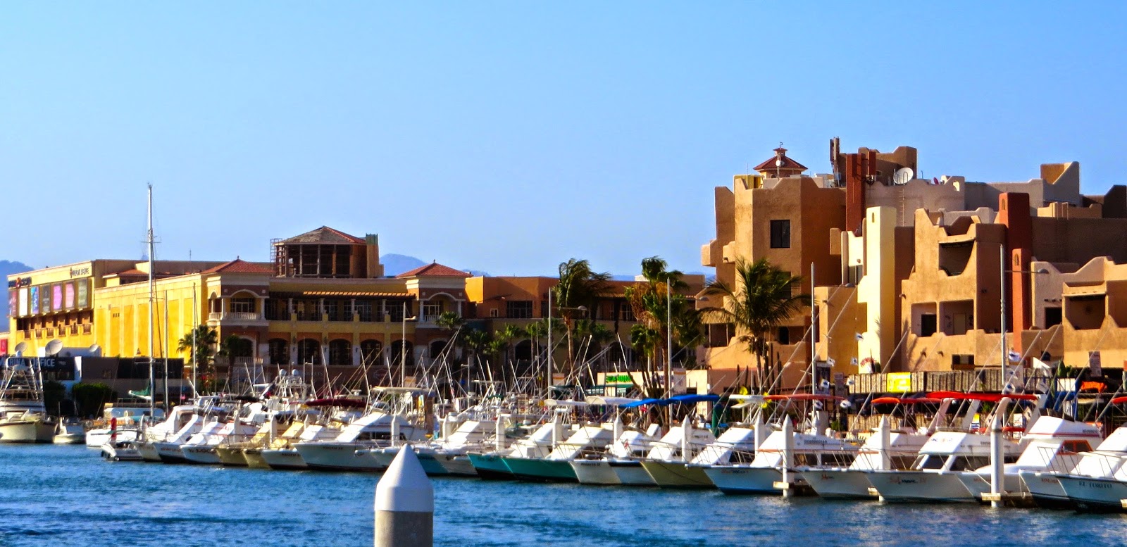 SAILING MOONSHADOW: BAJA BASH