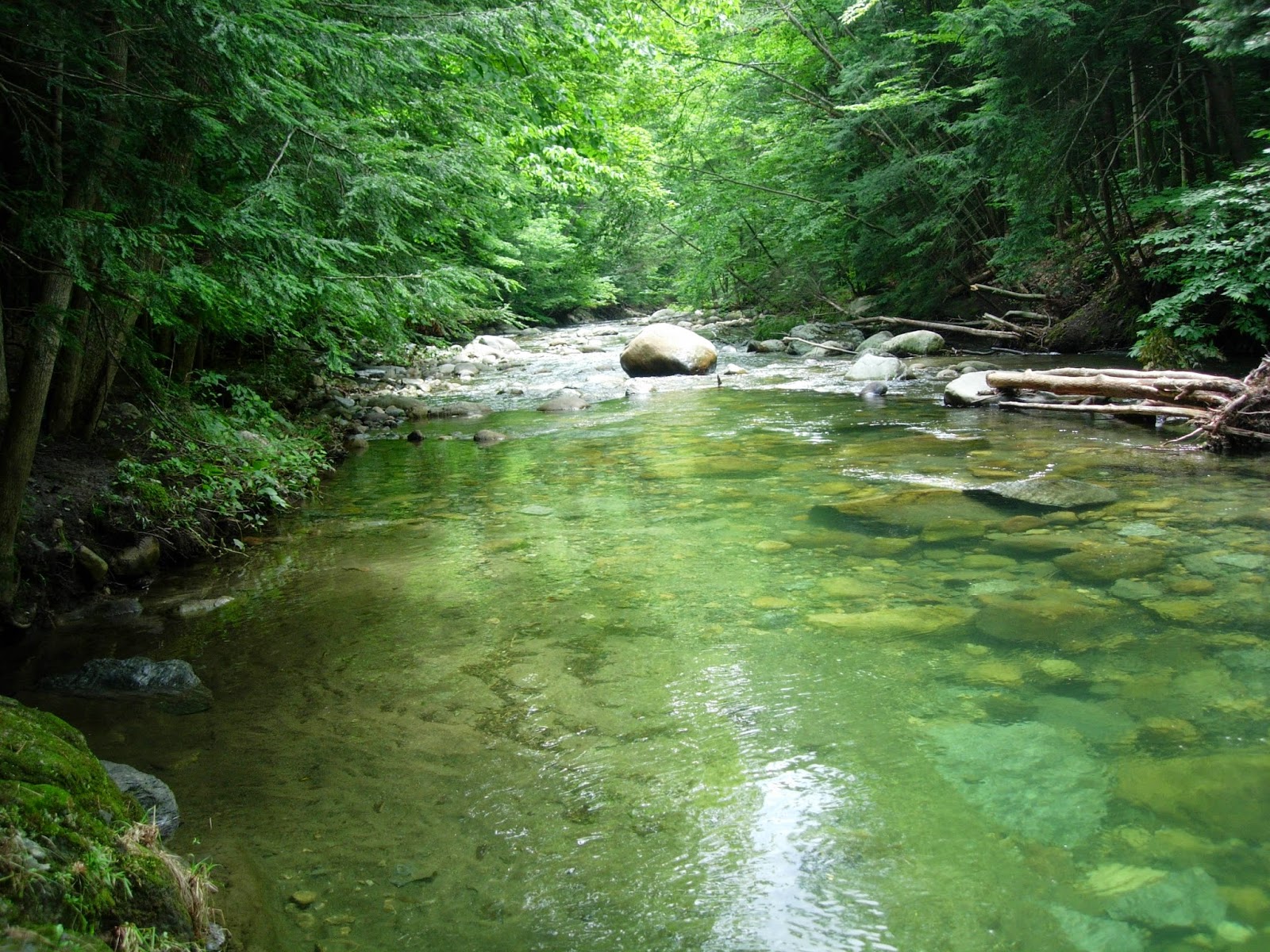 Microhikes and Microbrews: Fort Dummer & Whetstone Station