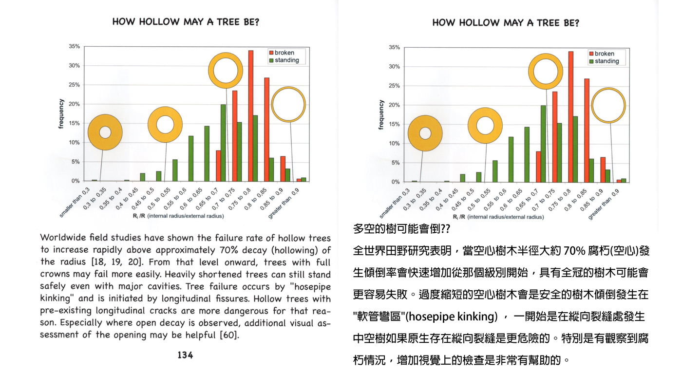 樹木身體語言 THE BODY LANGUAGE OF TREES BY CLUS MATTECK | 樹沃客樹藝