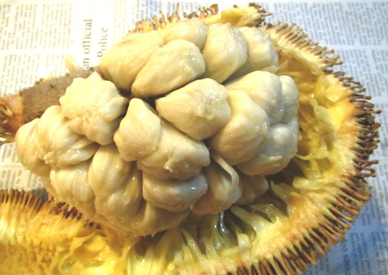 KINABALU: TARAP - FRUIT OF BORNEO